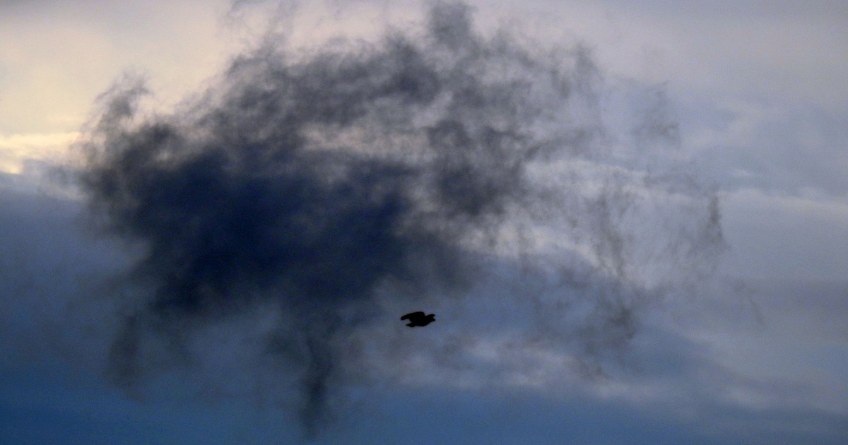 Cuda w GUSie! Ponownie pojawiła się statystyka zgonów w Polsce - blog ...