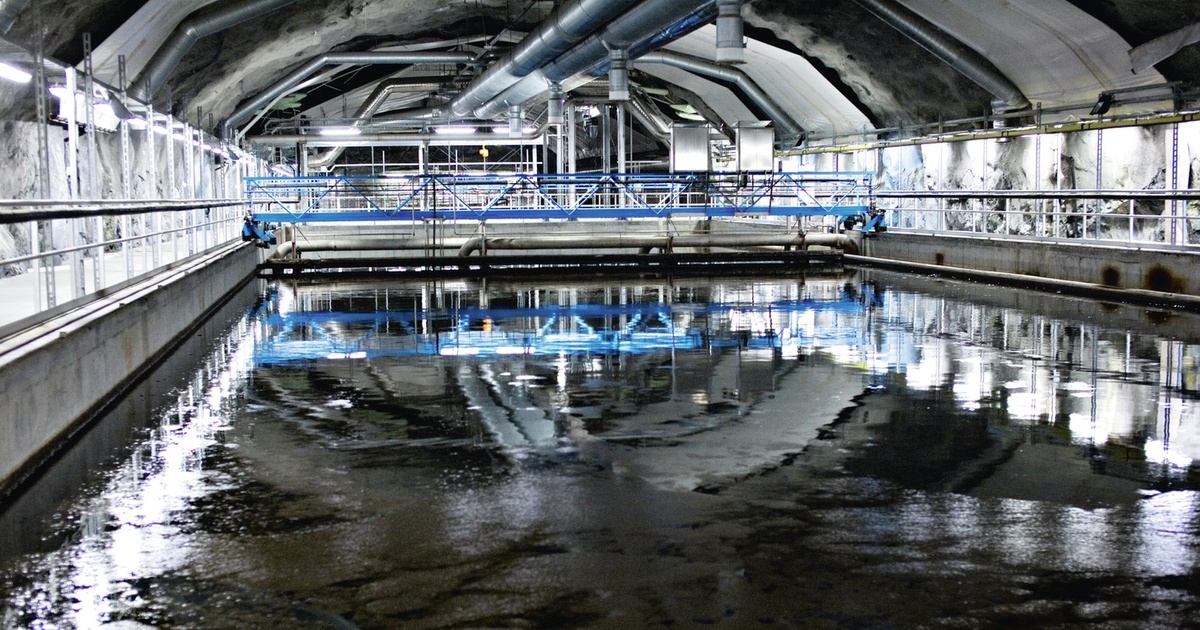 Algi nie tylko w Polsce. W tym kraju zwracają uwagę na efekt działań ...