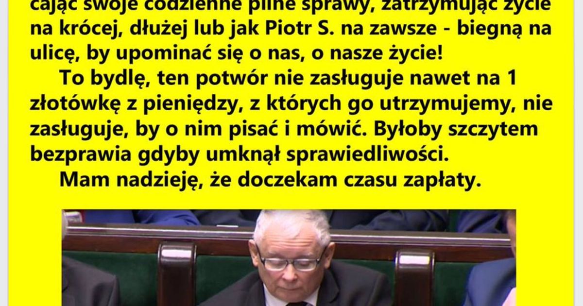 Kocia muzyka, opus 132 tysięczne, pod batutą Maestro Lisa - blog yassa