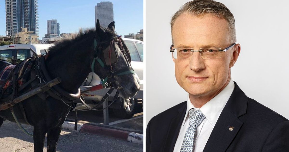 Ostatni dzień w MSZ. Magierowski dziękuje ważnej osobie - blog Redakcja