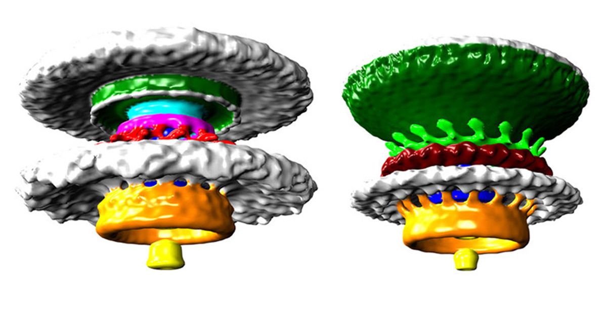 Kto wynalazł silnik elektryczny ? - blog Intaq