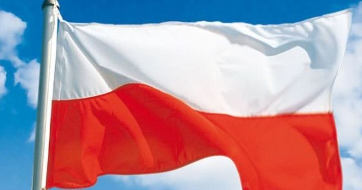 Flaga państwowa a flagi miast Rzeczypospolitej Polskiej- praktyki ...