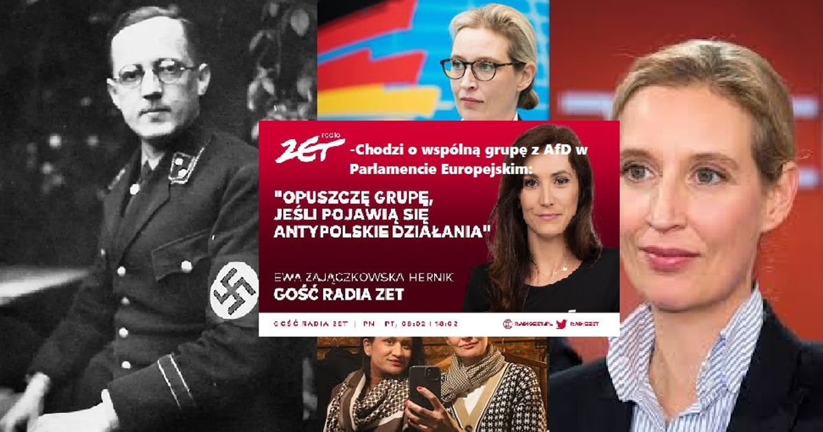 Czy Ewa Zajączkowska-Hernik przeprosi za sojusz z AfD w Parlamencie Europejskim? - blog Romuald ...
