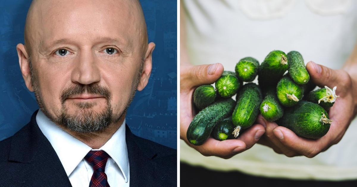 Awantura w studiu TVP Info, senator nie wytrzymał. Nagle chwycił za ...