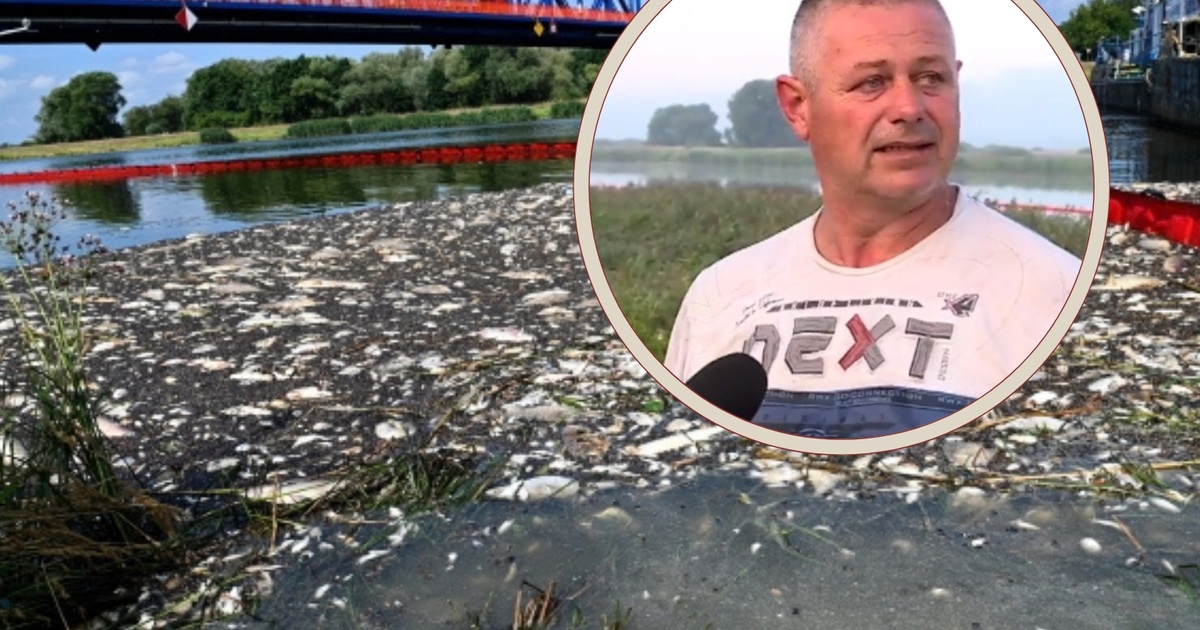 Rybak o przyczynach śnięcia ryb w Odrze. "Natura sobie da radę. Z ...