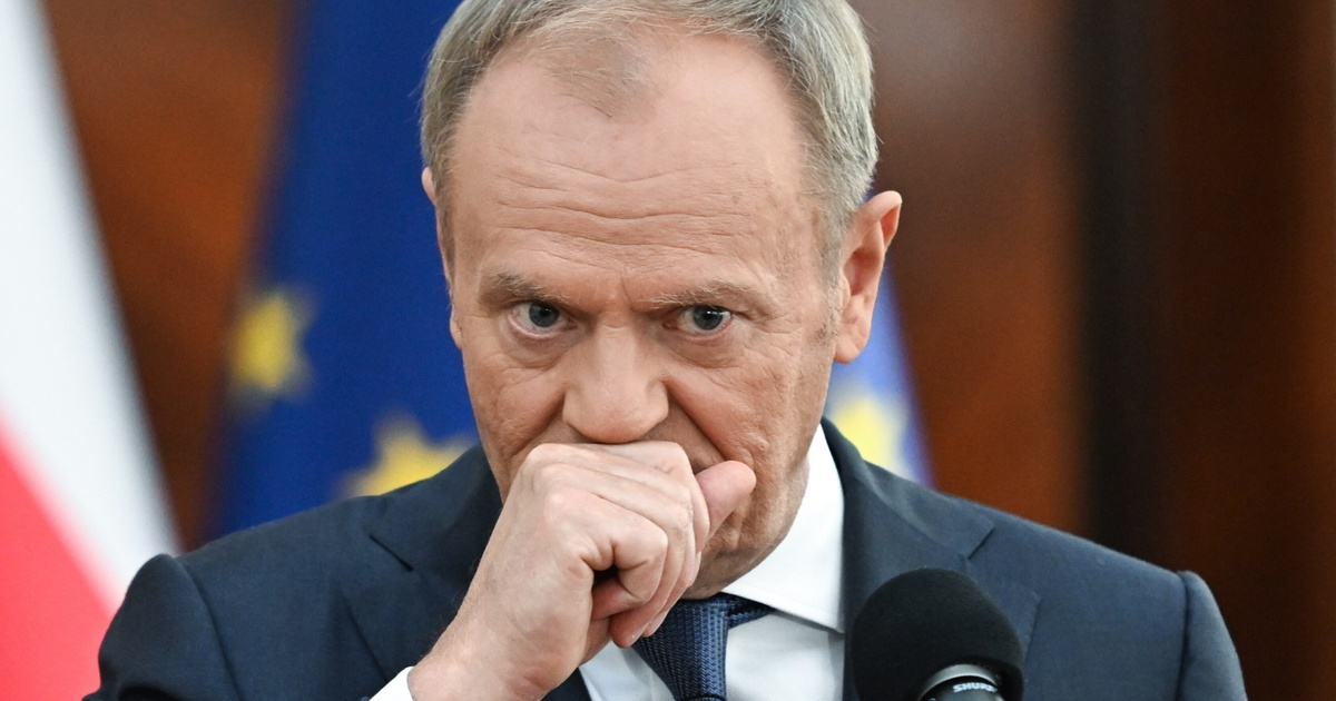 Polityk KO o zarzutach obrońców praw człowieka. „Lamenty są ...